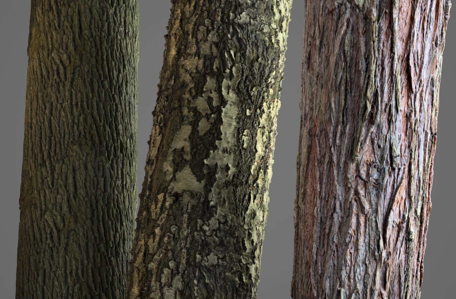 ArtStation - Bark Tileable Texture