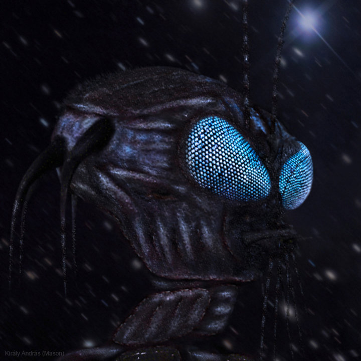 ArtStation - Insect Alien