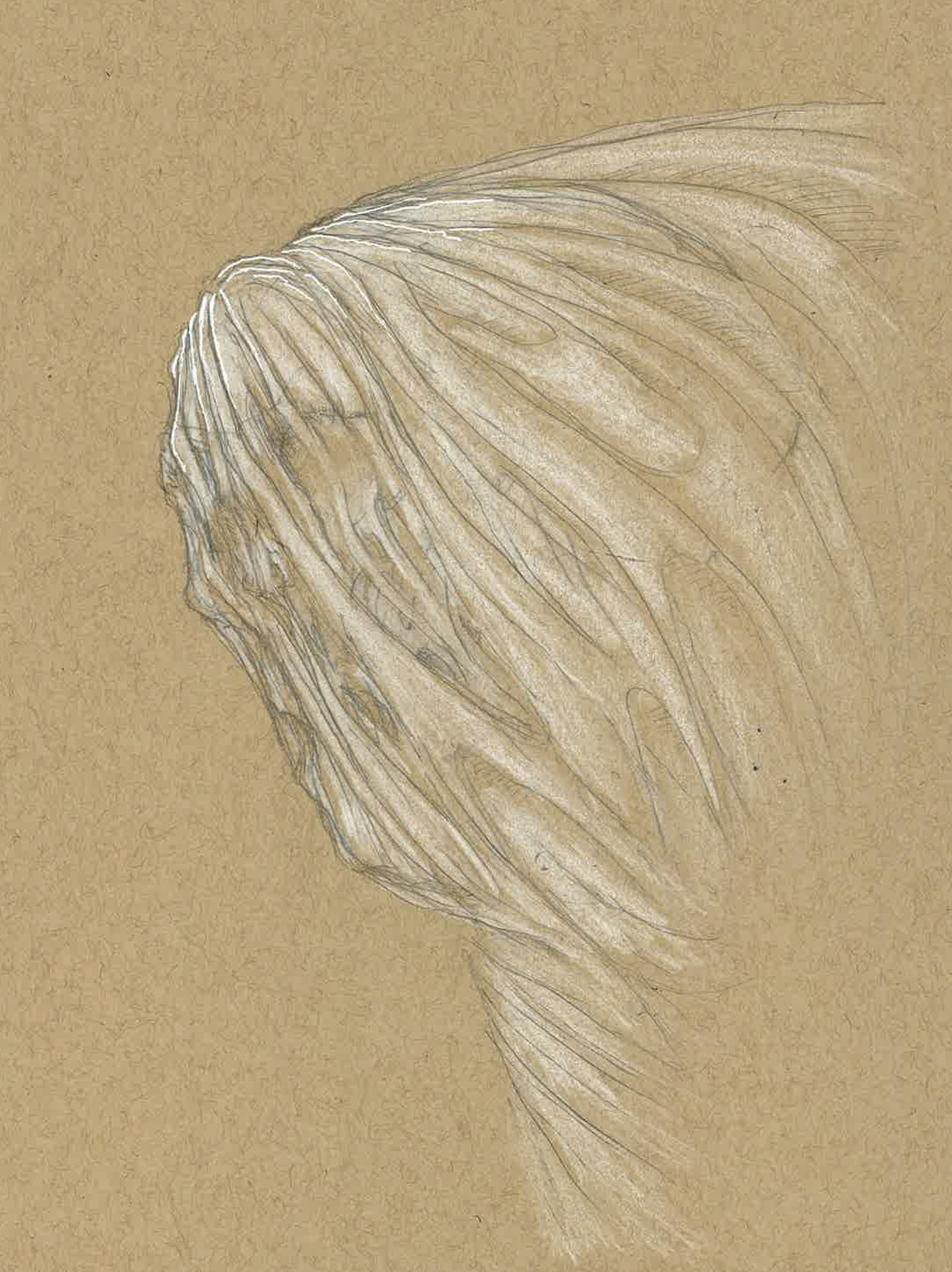 ArtStation - toned tan sketchbook exercises