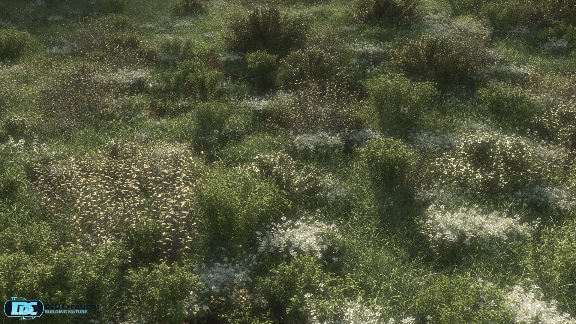 ArtStation - Wild Meadows