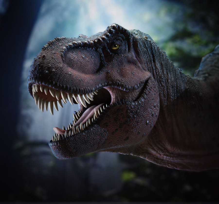ArtStation - T Rex love
