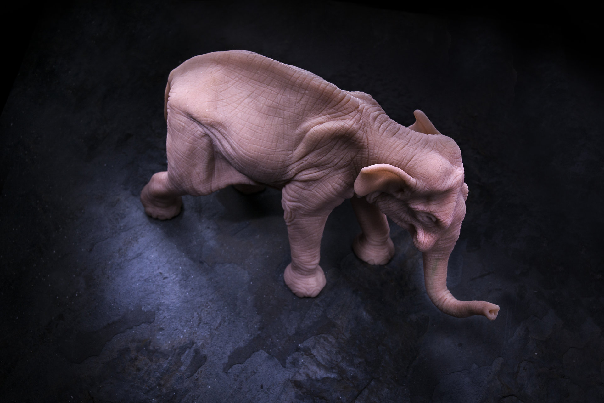 ArtStation - Asian Elephant