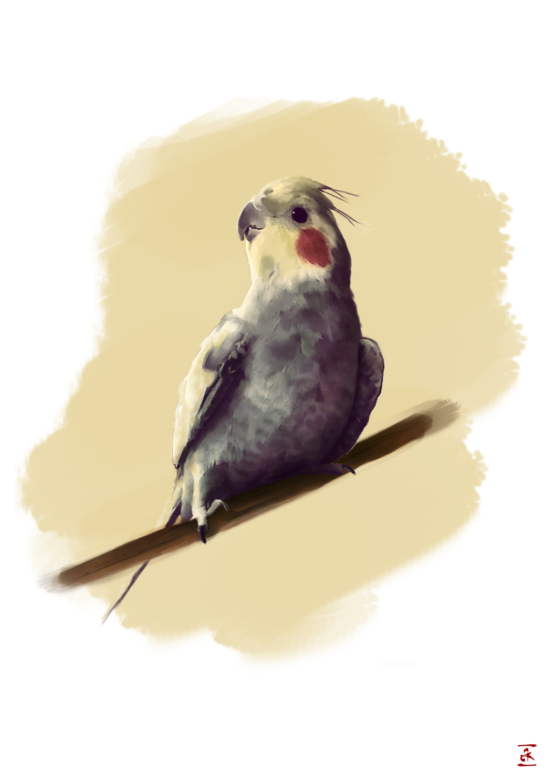 ArtStation - Puppy the parrot