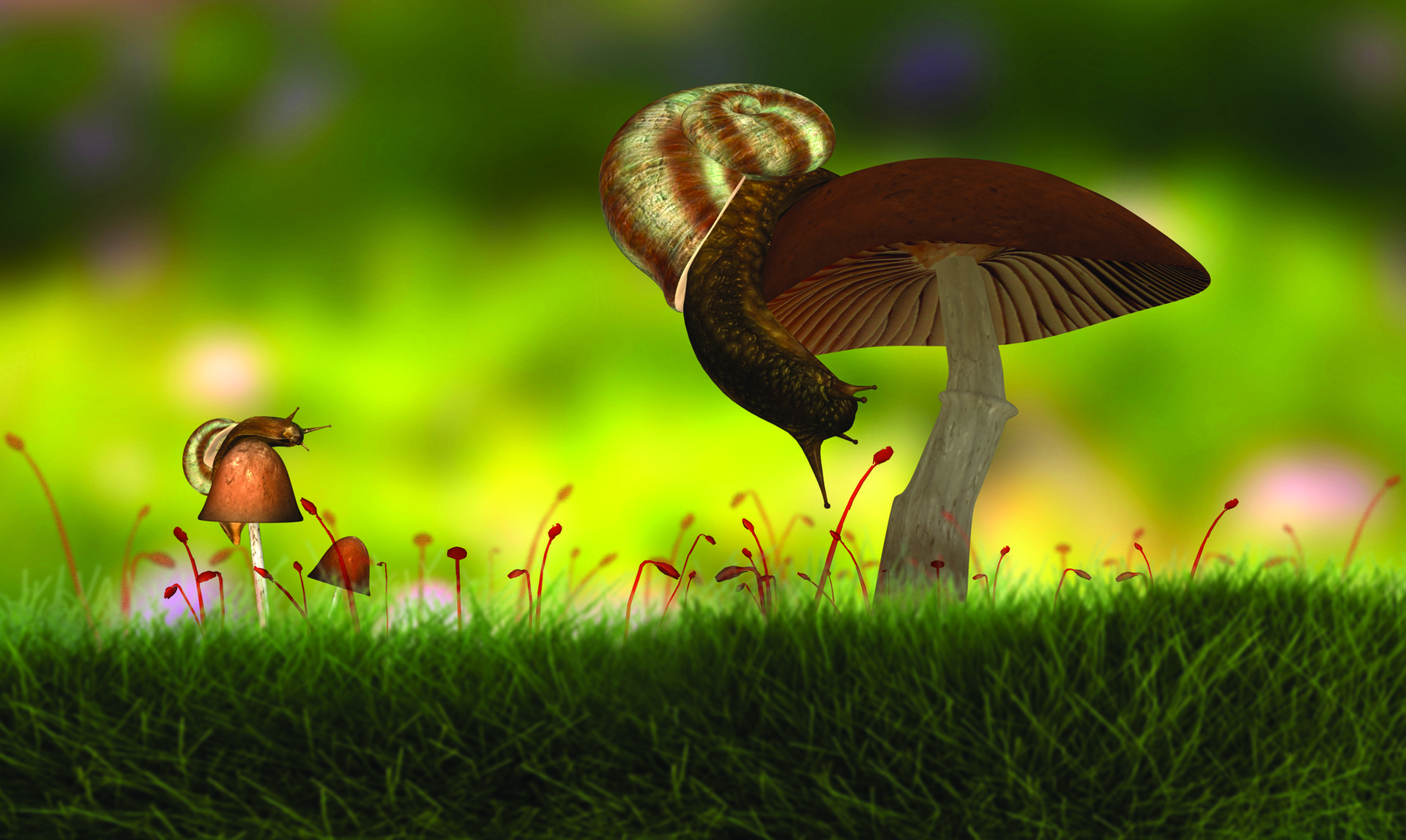 ArtStation - Snail Project