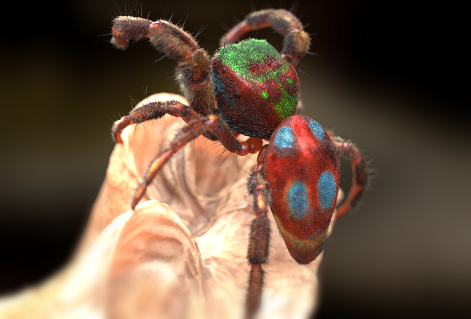 ArtStation - Another Jumping Spider!