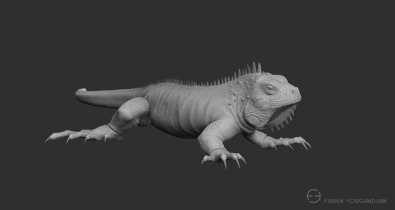 ArtStation - IGUANA