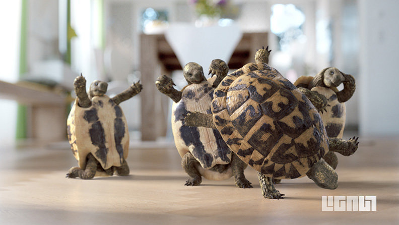 ArtStation - Turtle TV Commercial - PRO 7 HbbTV