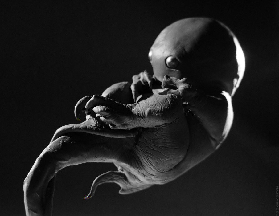 ArtStation - Embryo