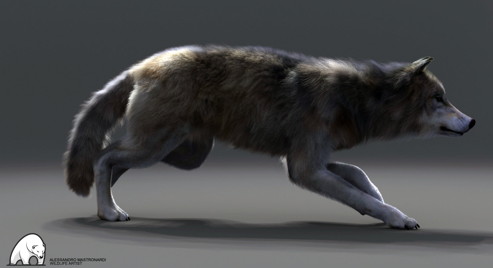 ArtStation - Wolf model