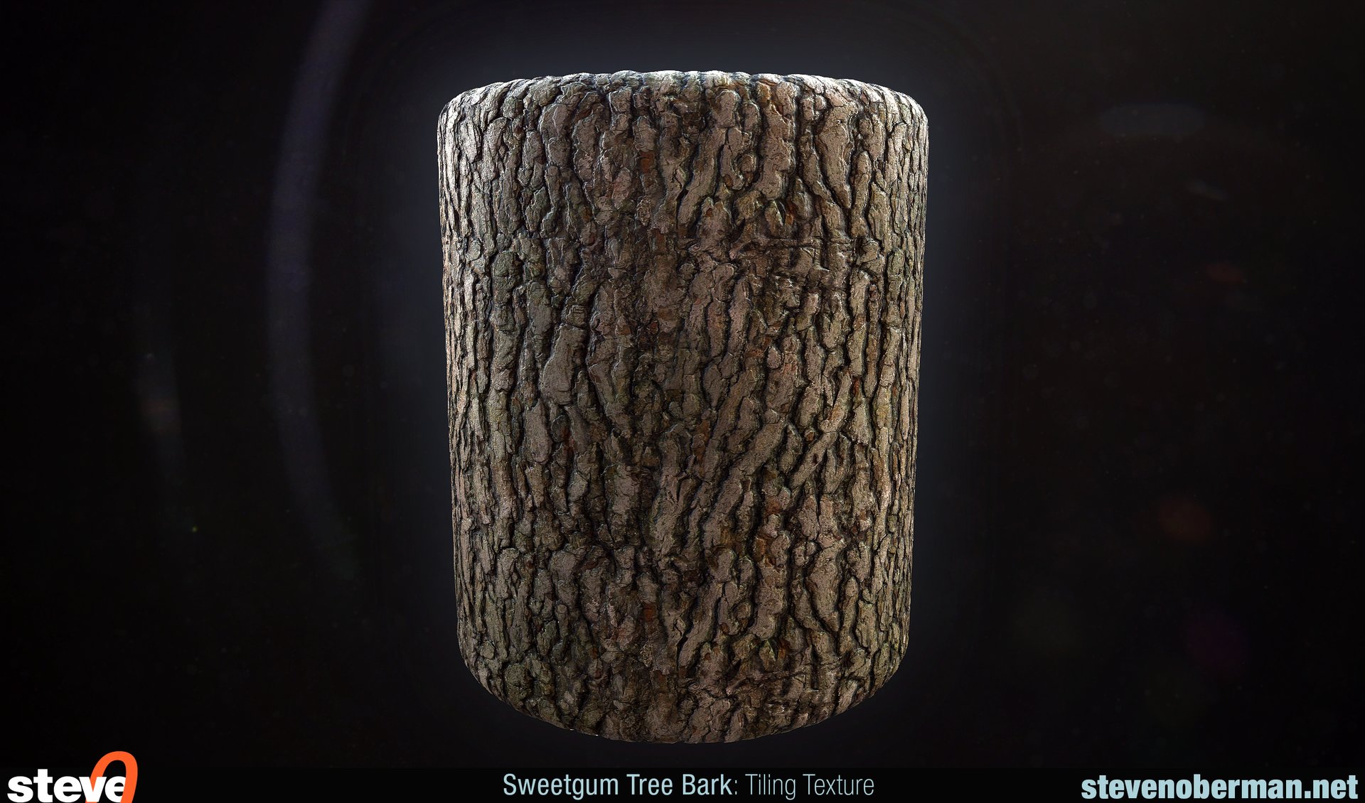 ArtStation - Tiling Texture: Sweetgum Tree Bark