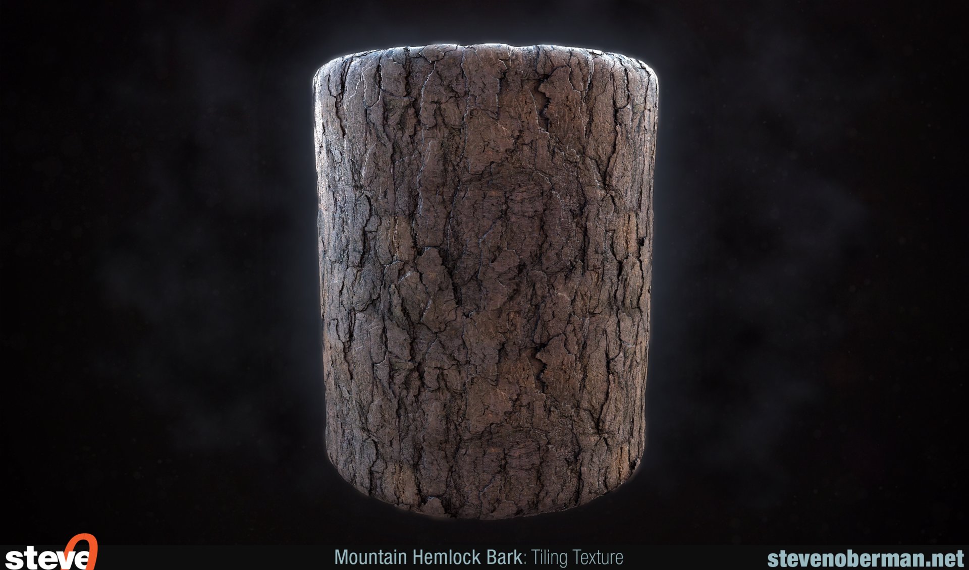 ArtStation - Tiling Texture: Mountain Hemlock Bark