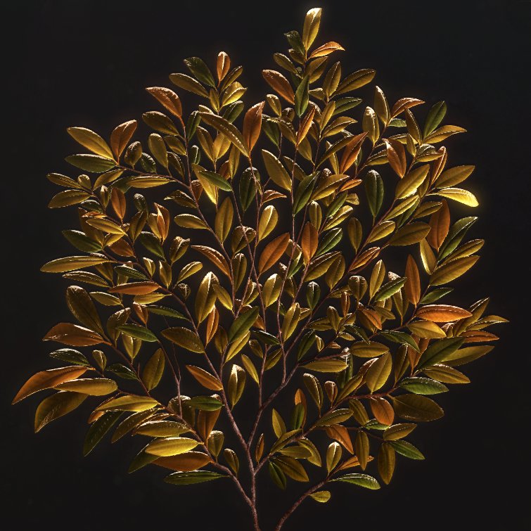 ArtStation - Tropical Branch Texture