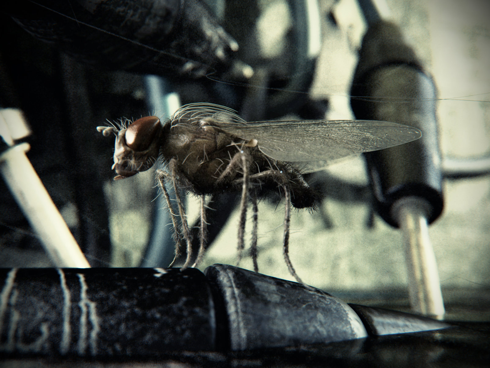 ArtStation - Strange Dejavu