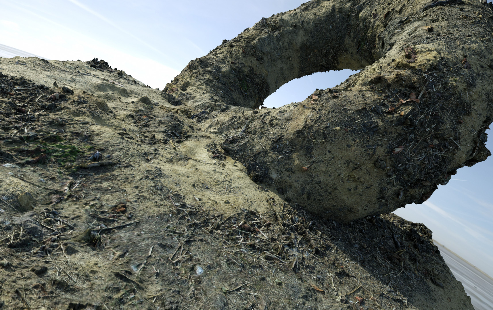 ArtStation - Real-Displacement-Textures_3