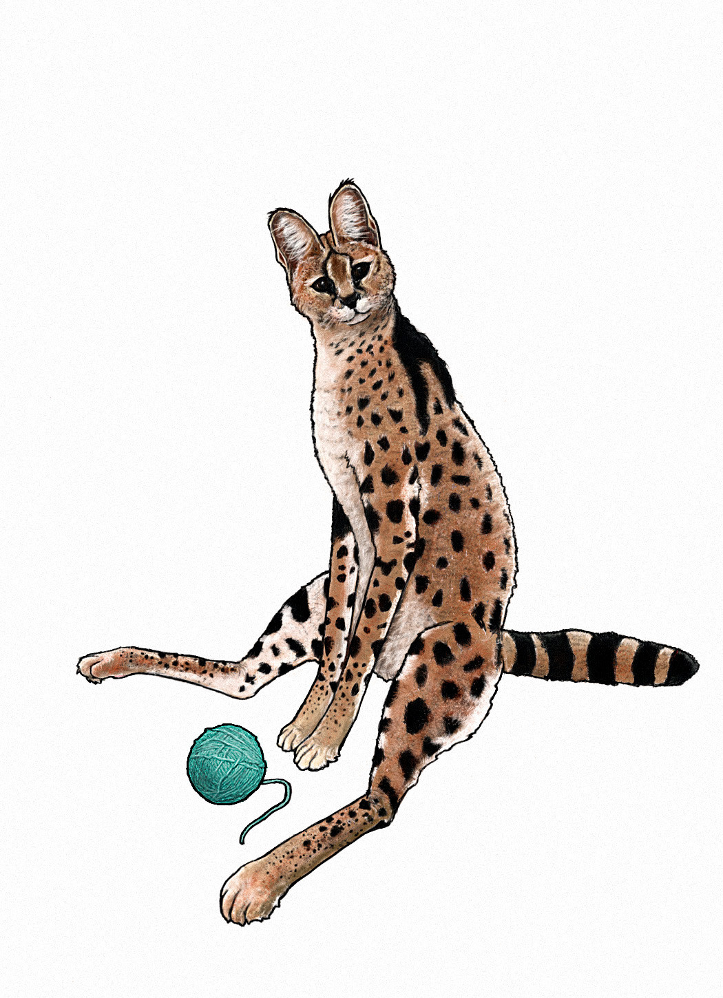 ArtStation - Serval.