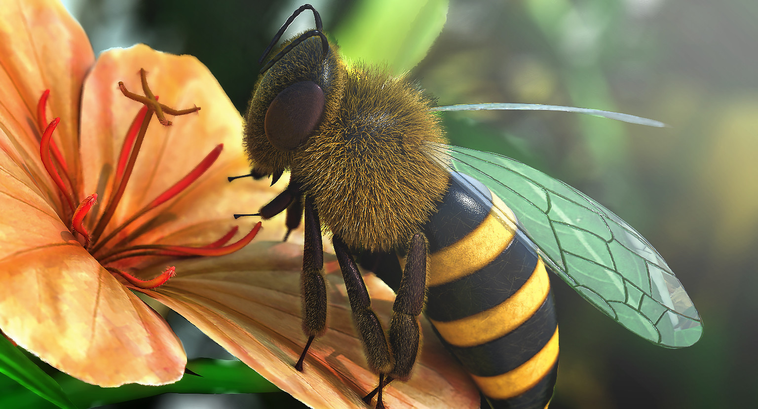 ArtStation - 3D Modeling Macro Bee