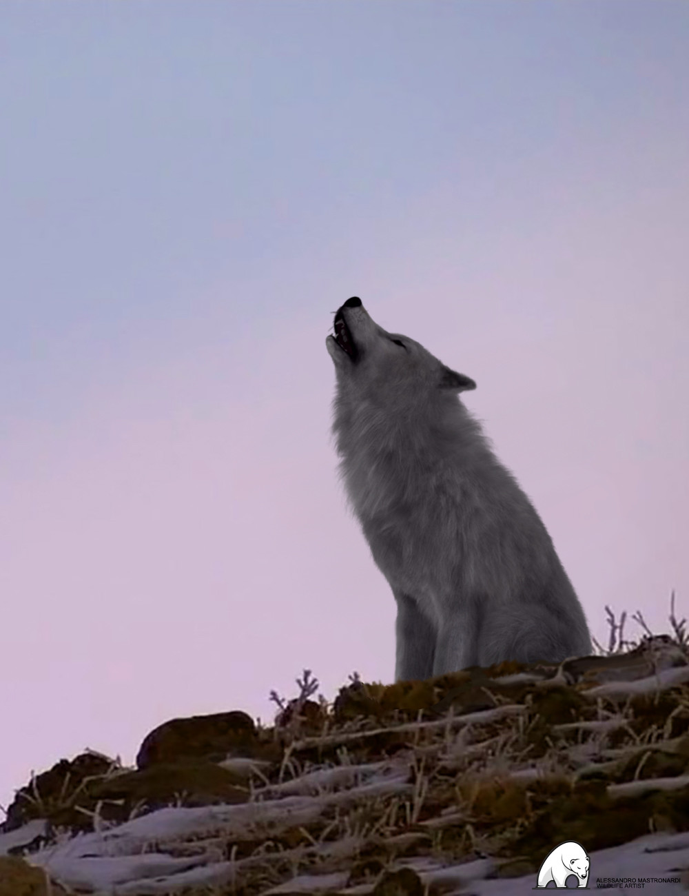 ArtStation - The Howl