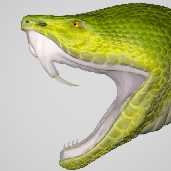 ArtStation - Pit Viper, Roman Zhuk