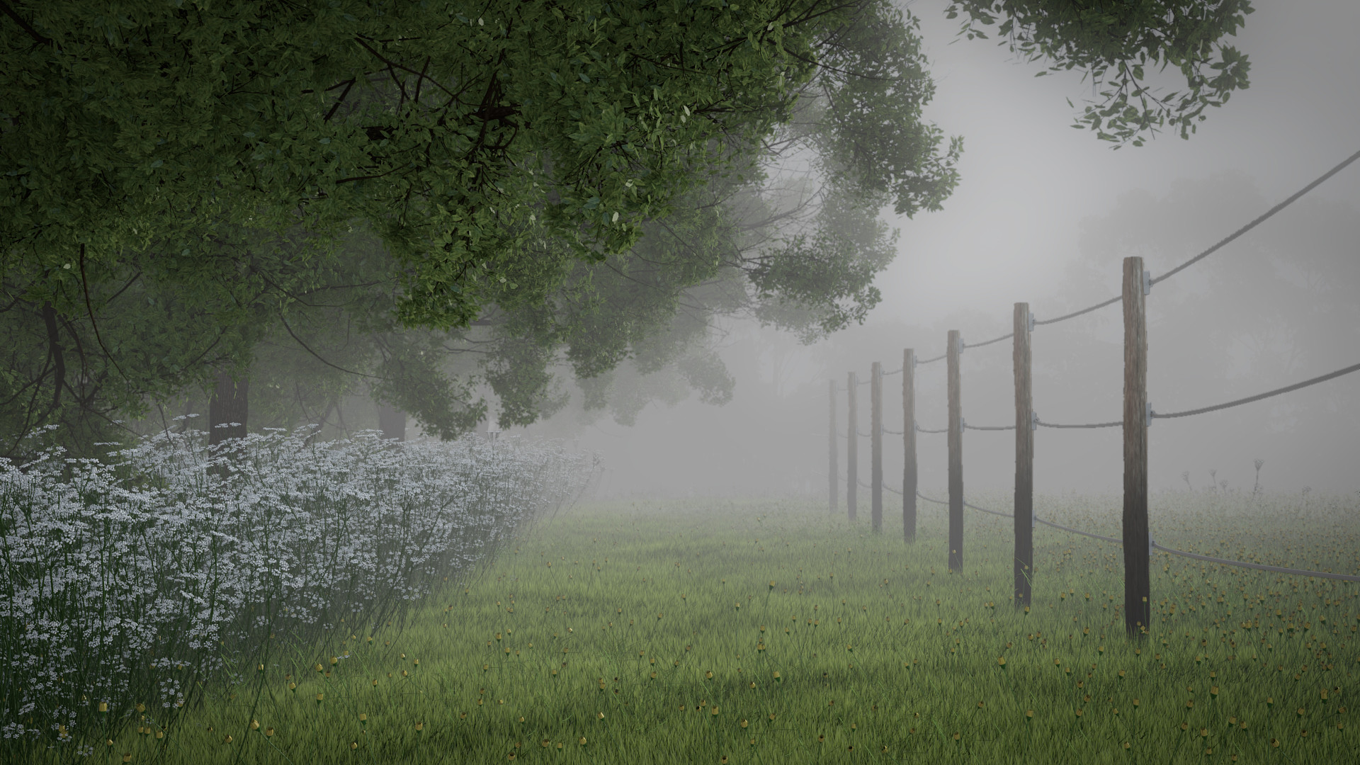 ArtStation - Fog landscape