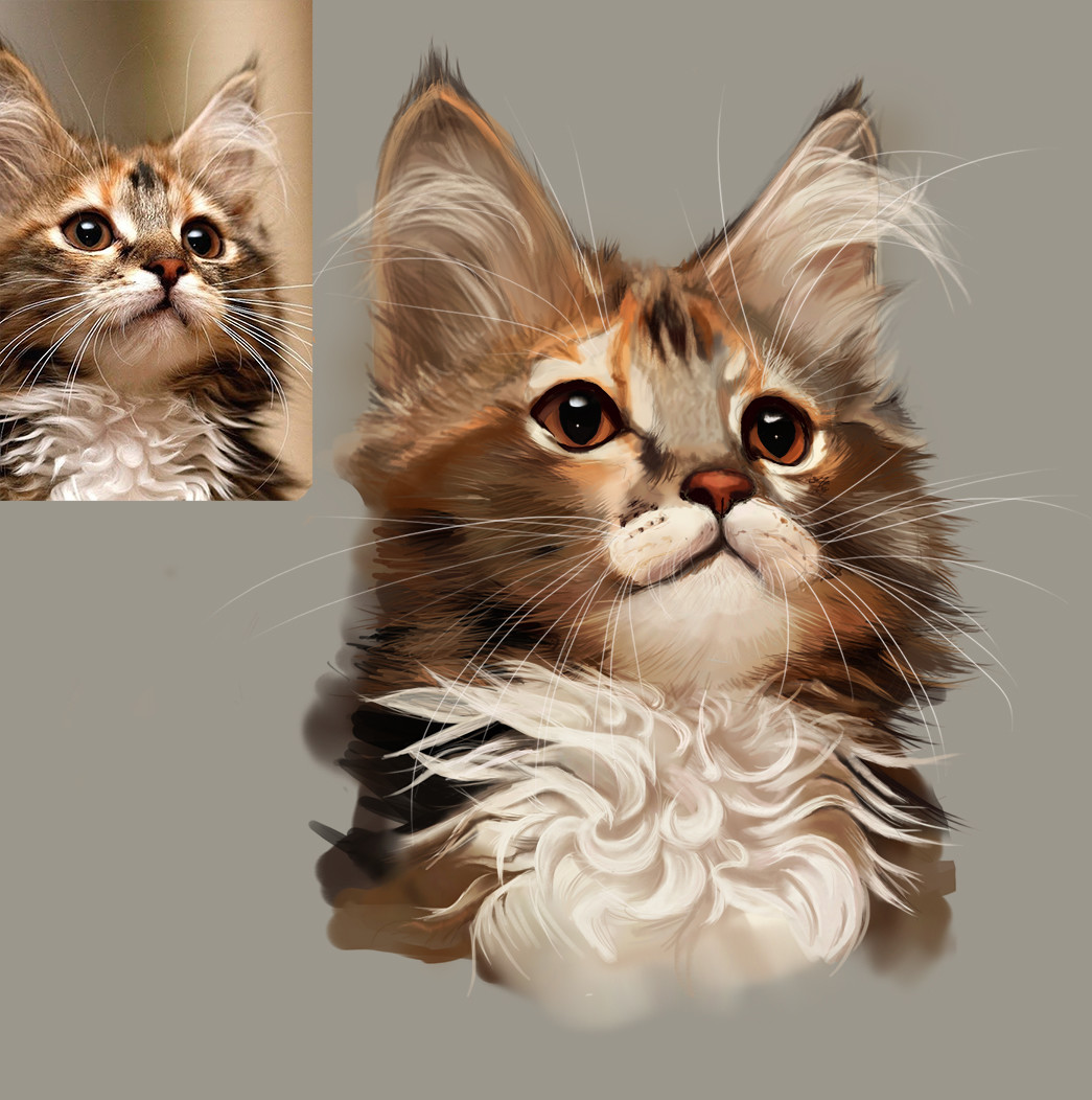 ArtStation - Cat / Fur study