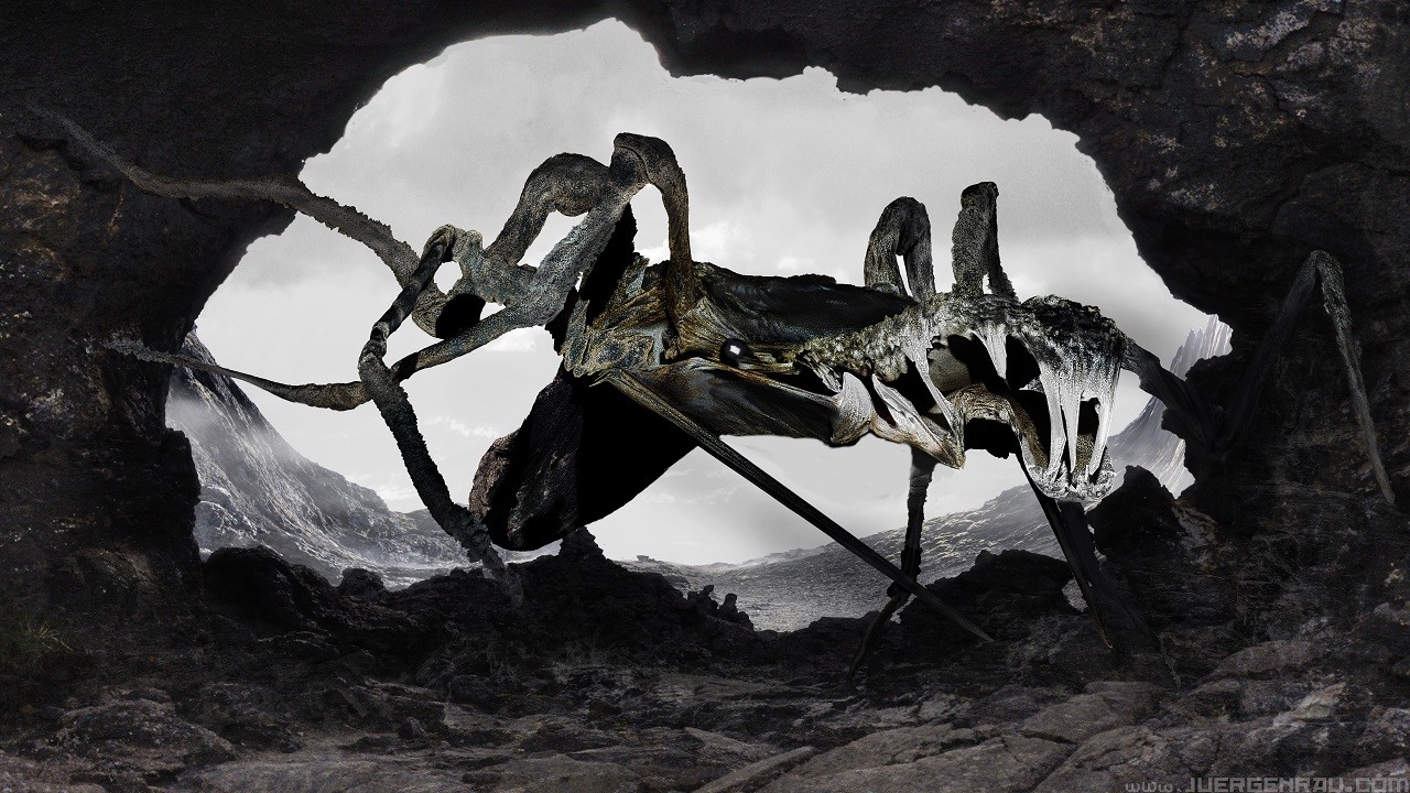 ArtStation - 0007.2014.05.26. Land bug monster insect. 3D low poly ...