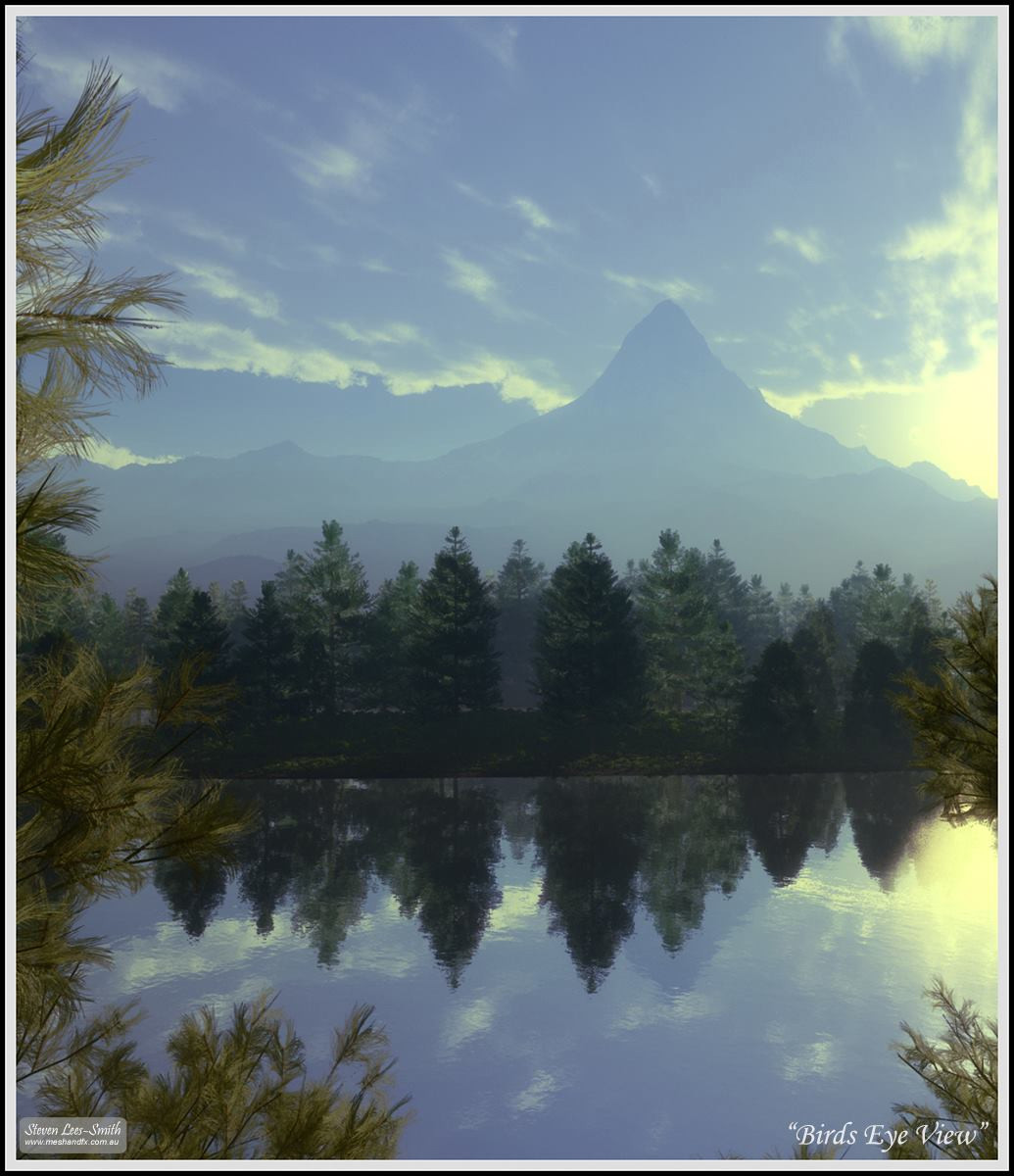 ArtStation - Birds Eye View