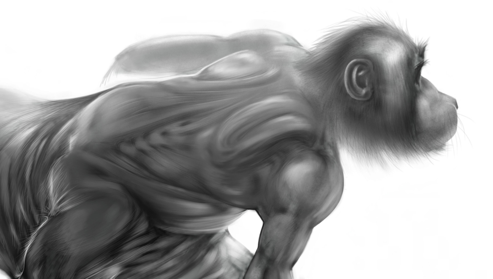 ArtStation - Chimaira