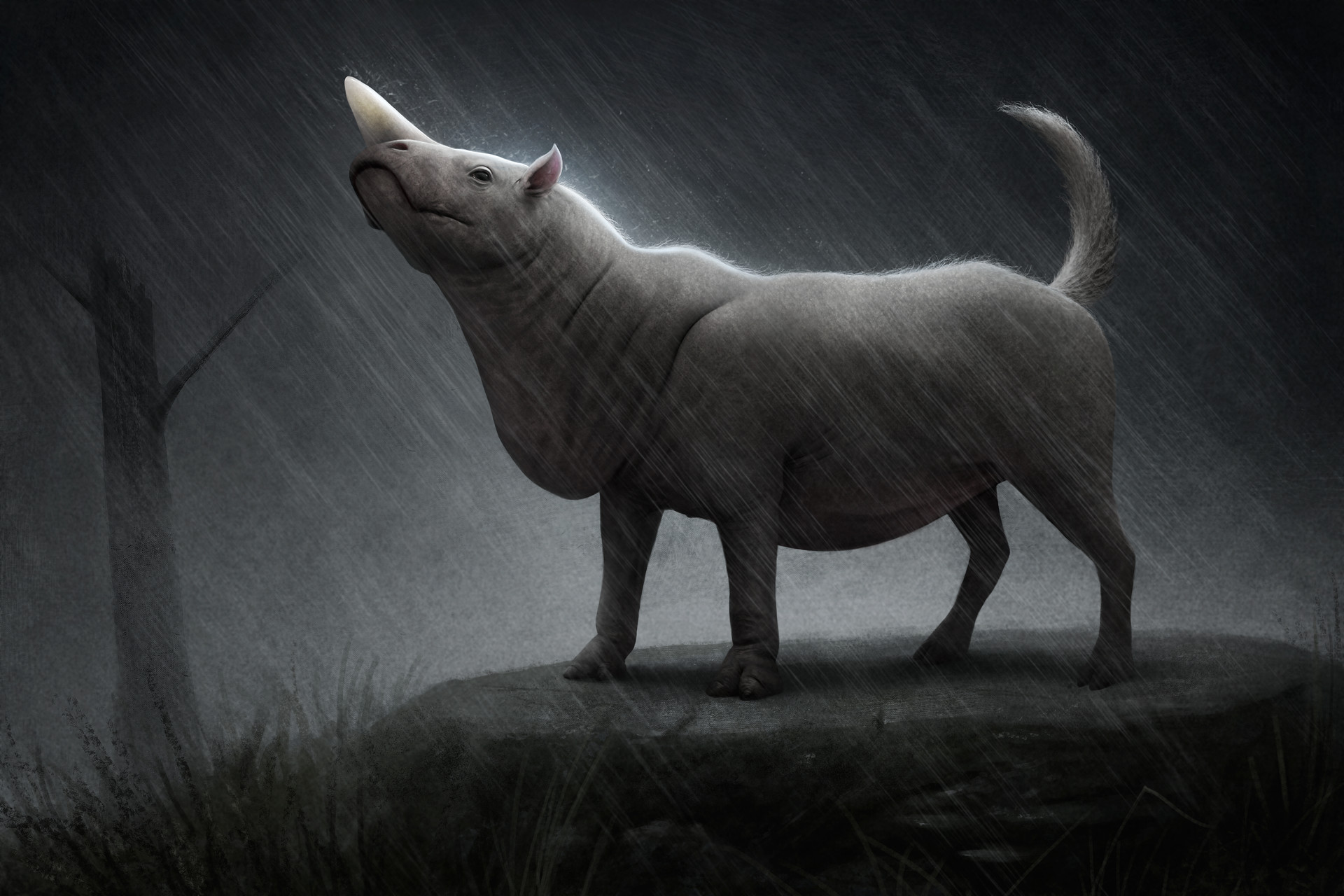 ArtStation - My Rock