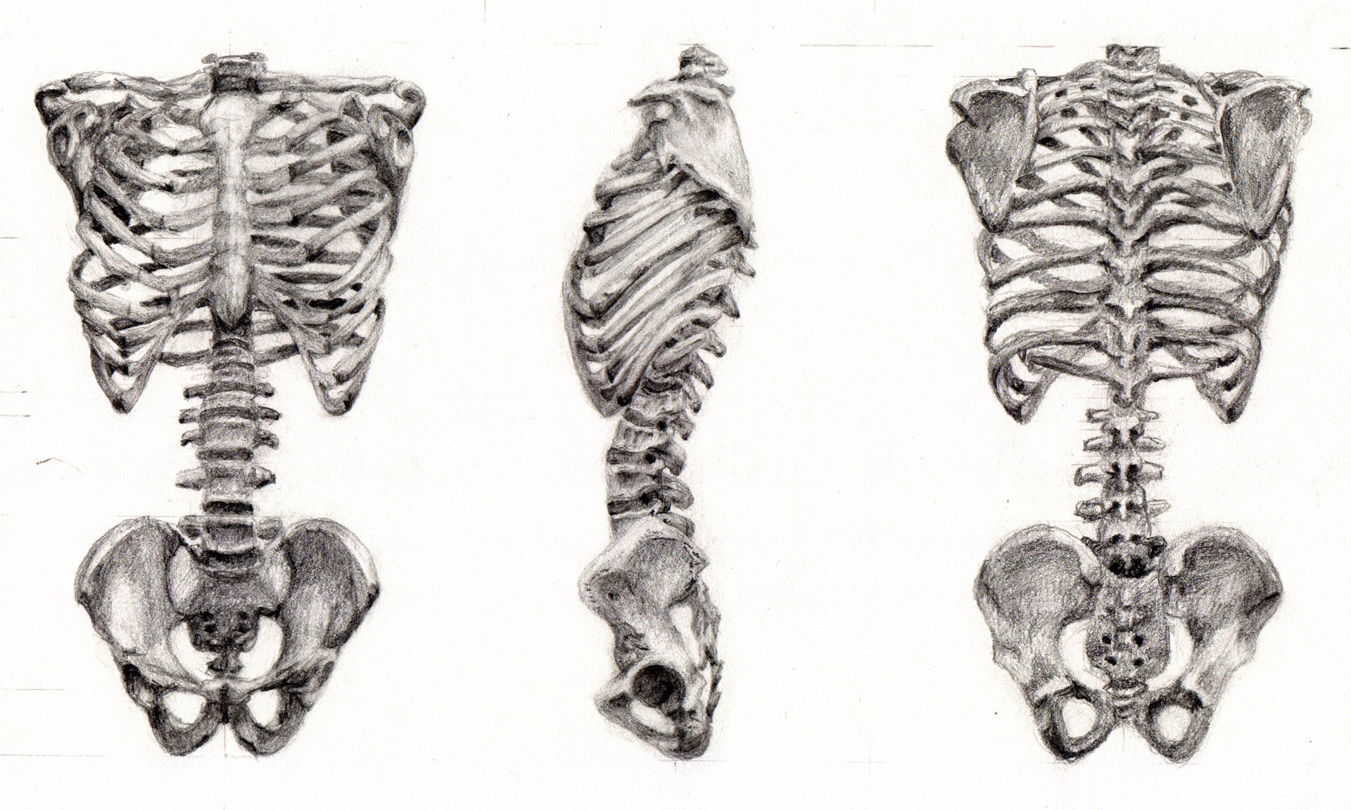 ArtStation - Sketching & drawing