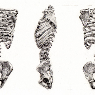 Stephen Studyvin - Portfolio