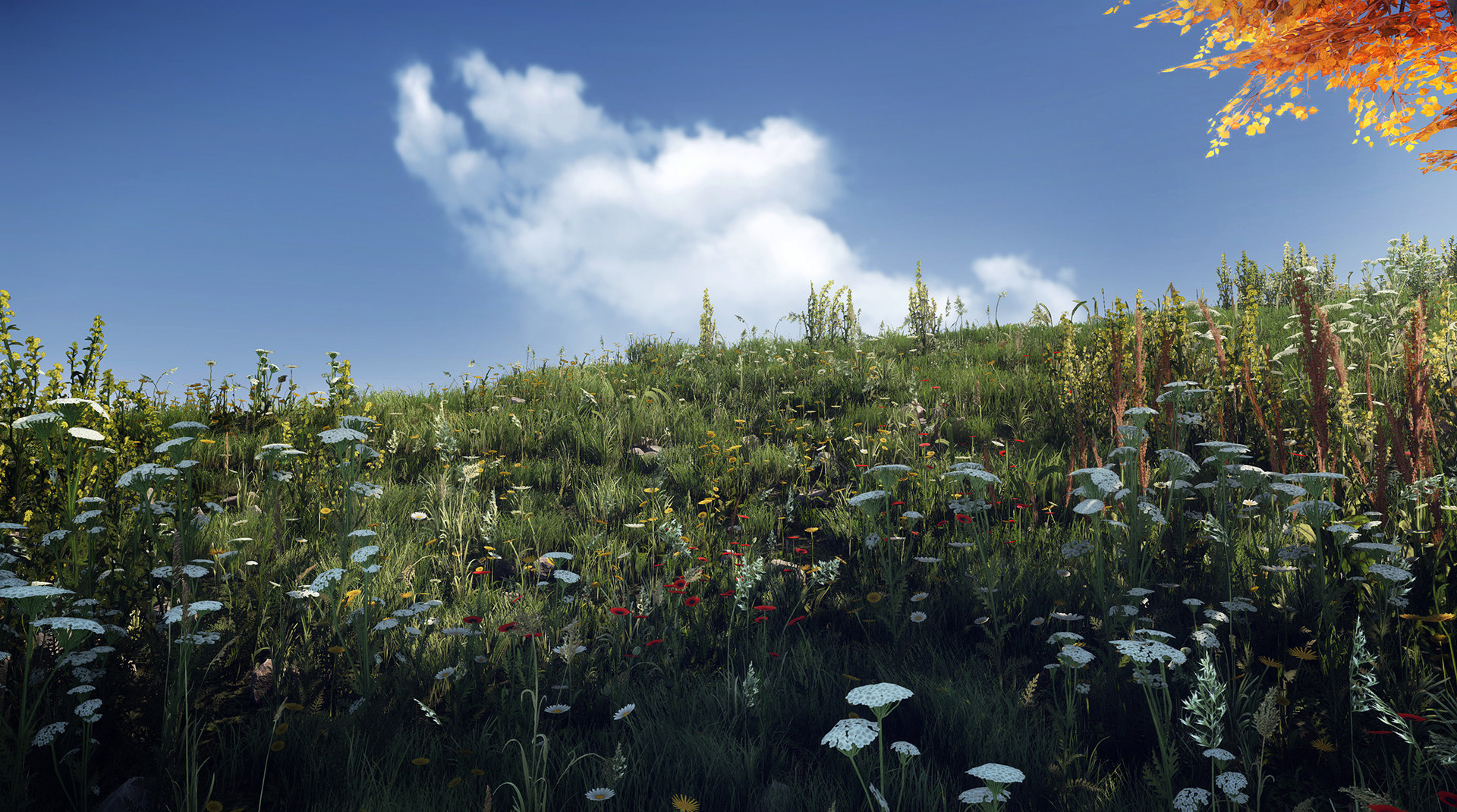 ArtStation - Sunny Hill - Cryengine Environment