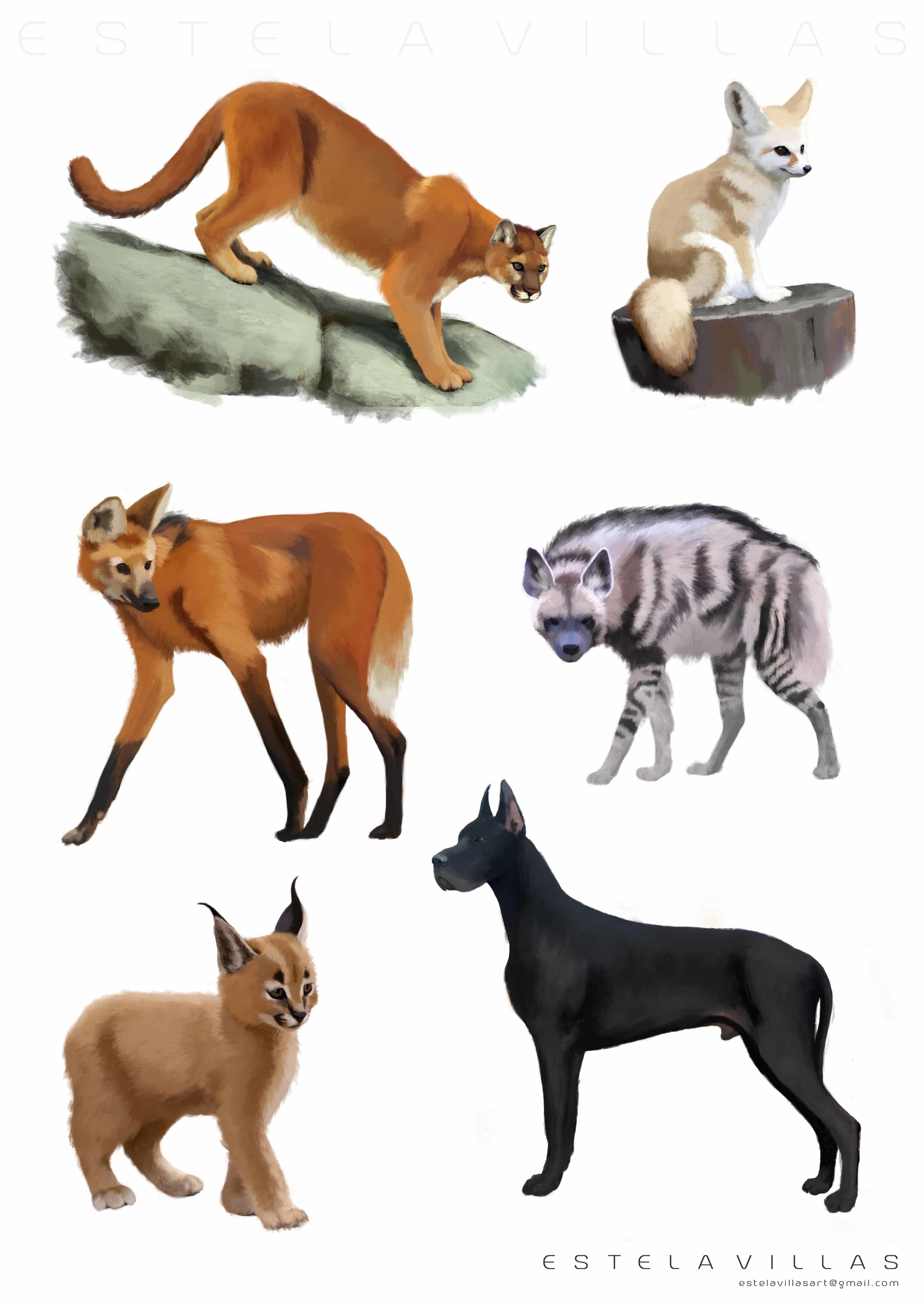 ArtStation - Animal color studies
