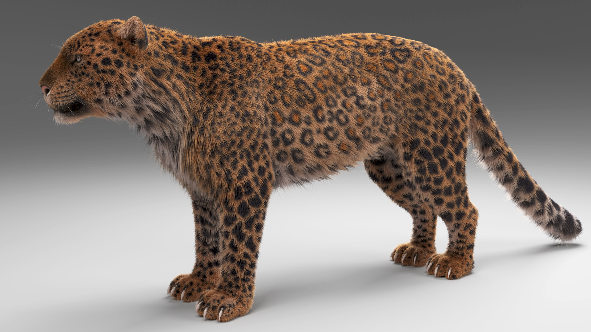ArtStation - Leopard Fur Practice