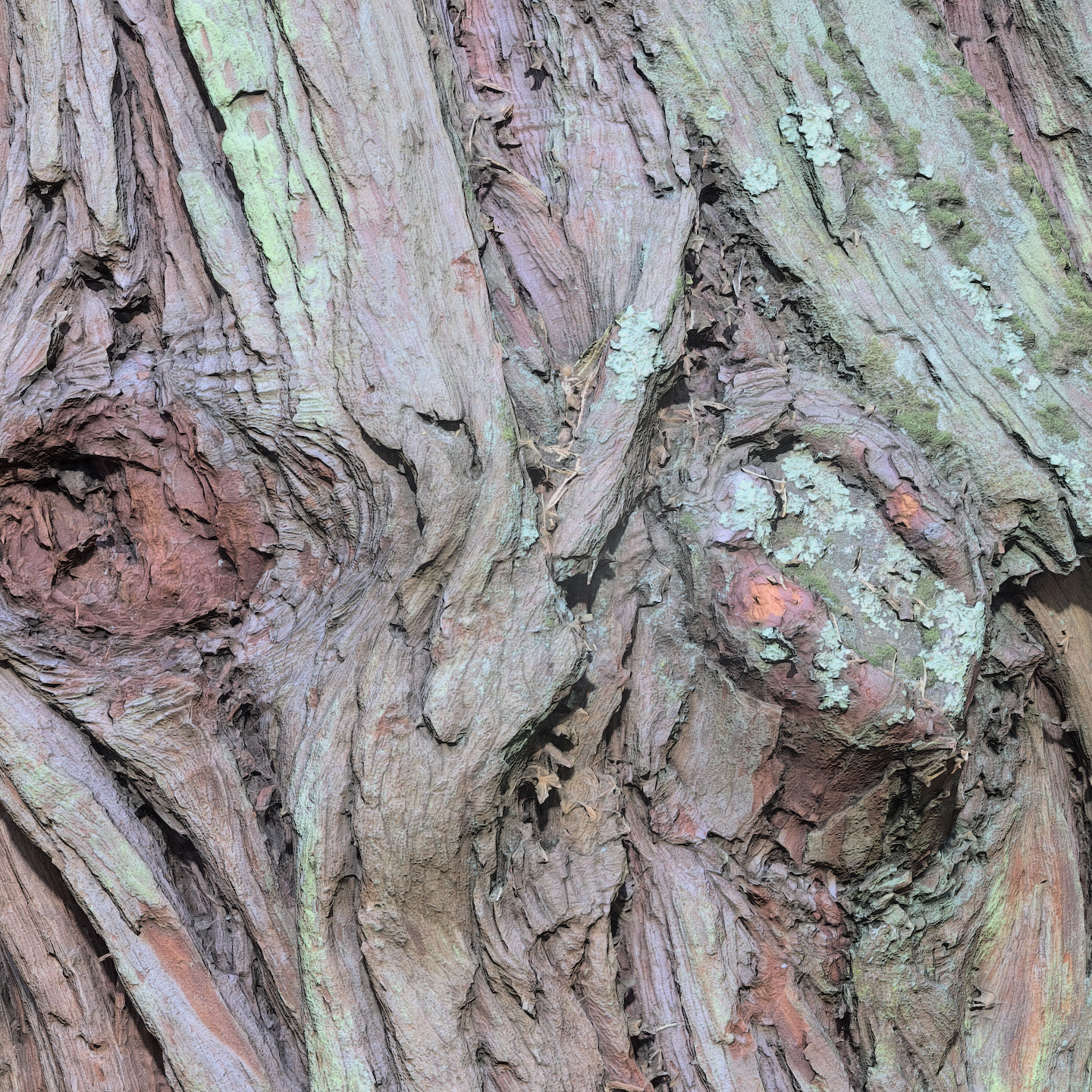 ArtStation - Tree bark scan