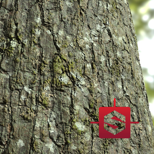 ArtStation - Pine tree bark - Substance Designer