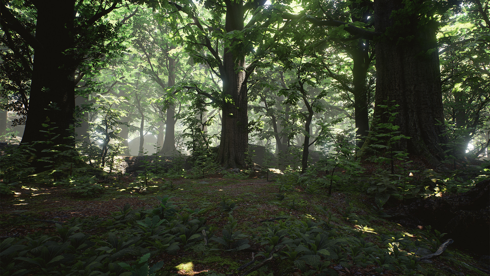 ArtStation - UE4 Broadleaf Forest