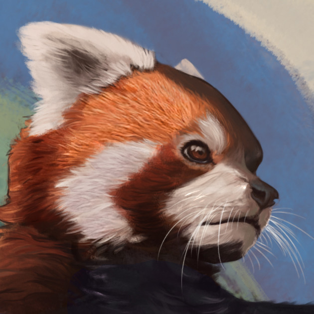 ArtStation - Creation of Red Panda