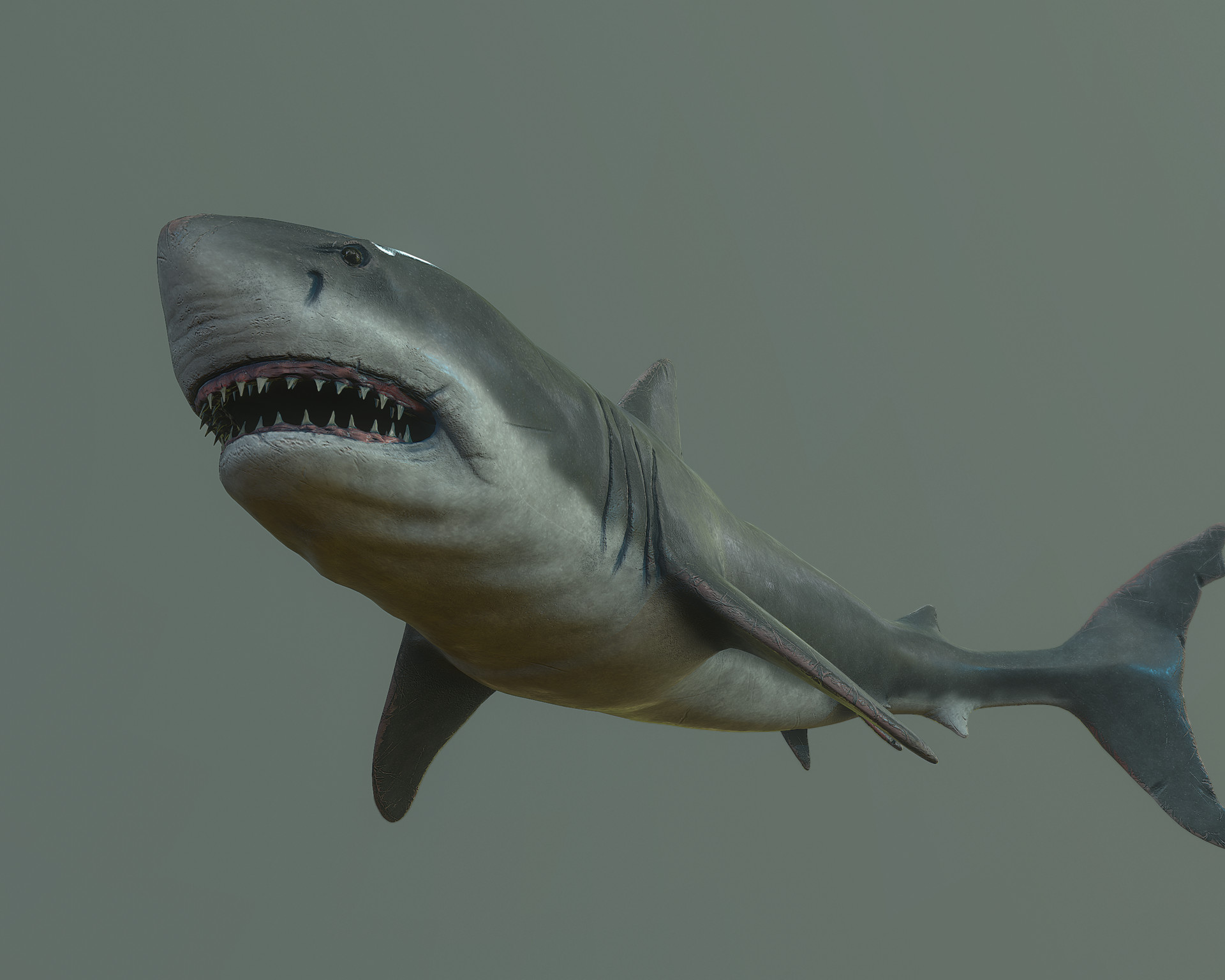 ArtStation - The great white shark