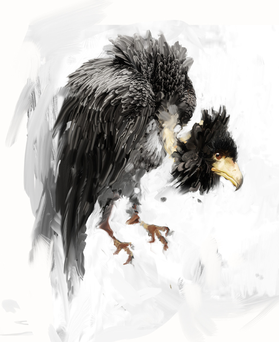 ArtStation - sketches