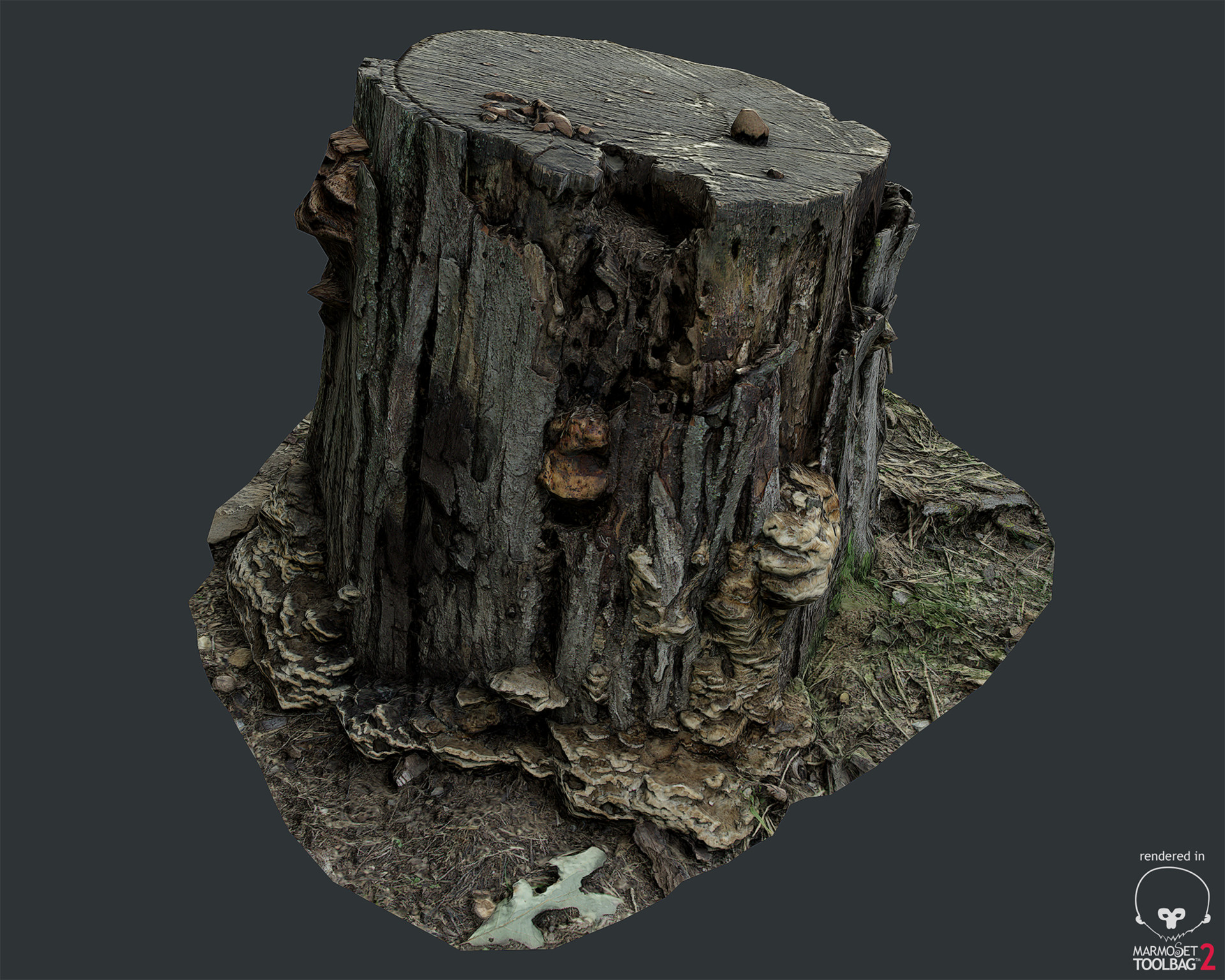 ArtStation - Photogrammetry Stump