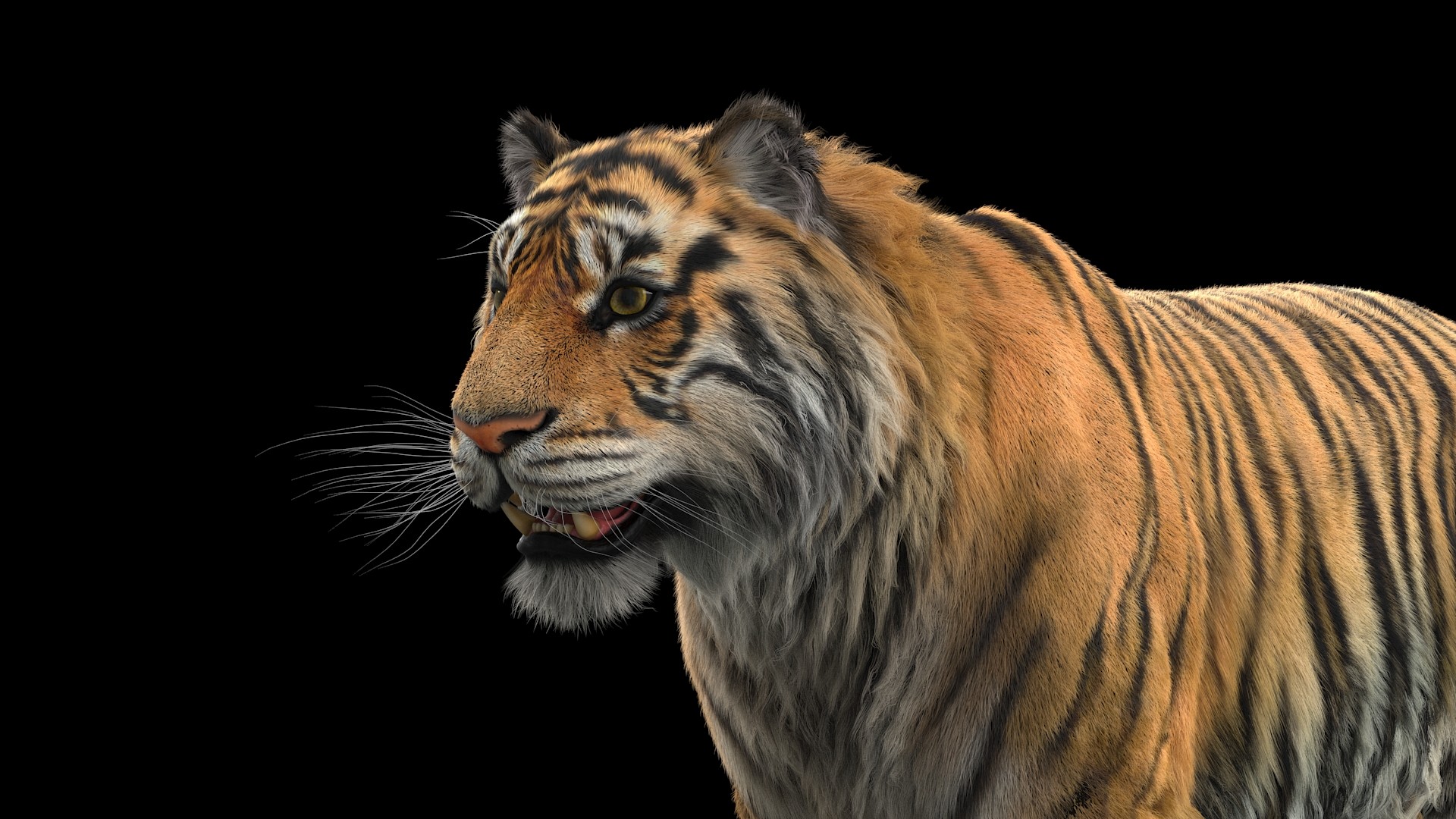 ArtStation - tiger