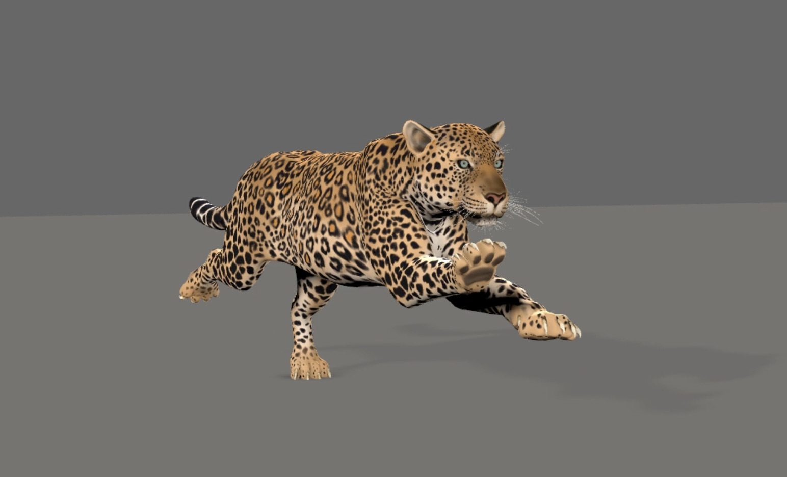 ArtStation - Leopard Run Cycle