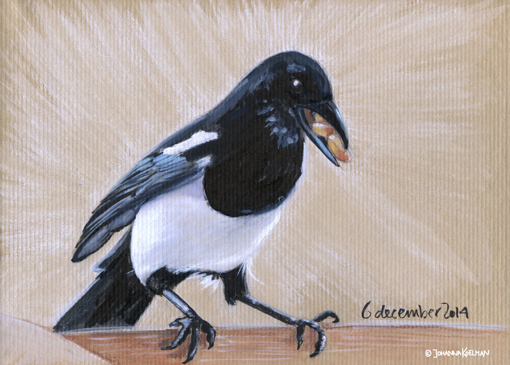 ArtStation - Birds on het Zwet