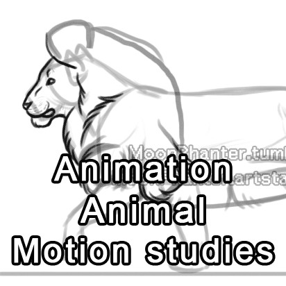 ArtStation - Animal motion studies