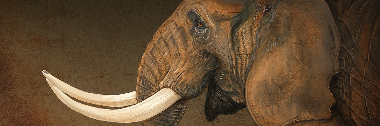 ArtStation - Elephant study Digital Paint