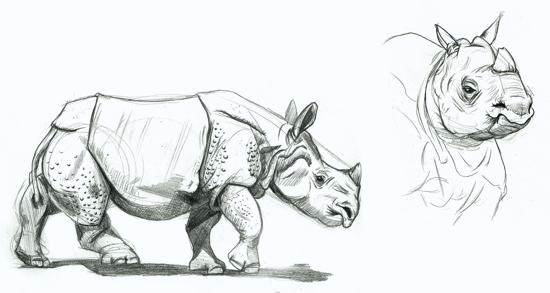 ArtStation - Various Land Animals