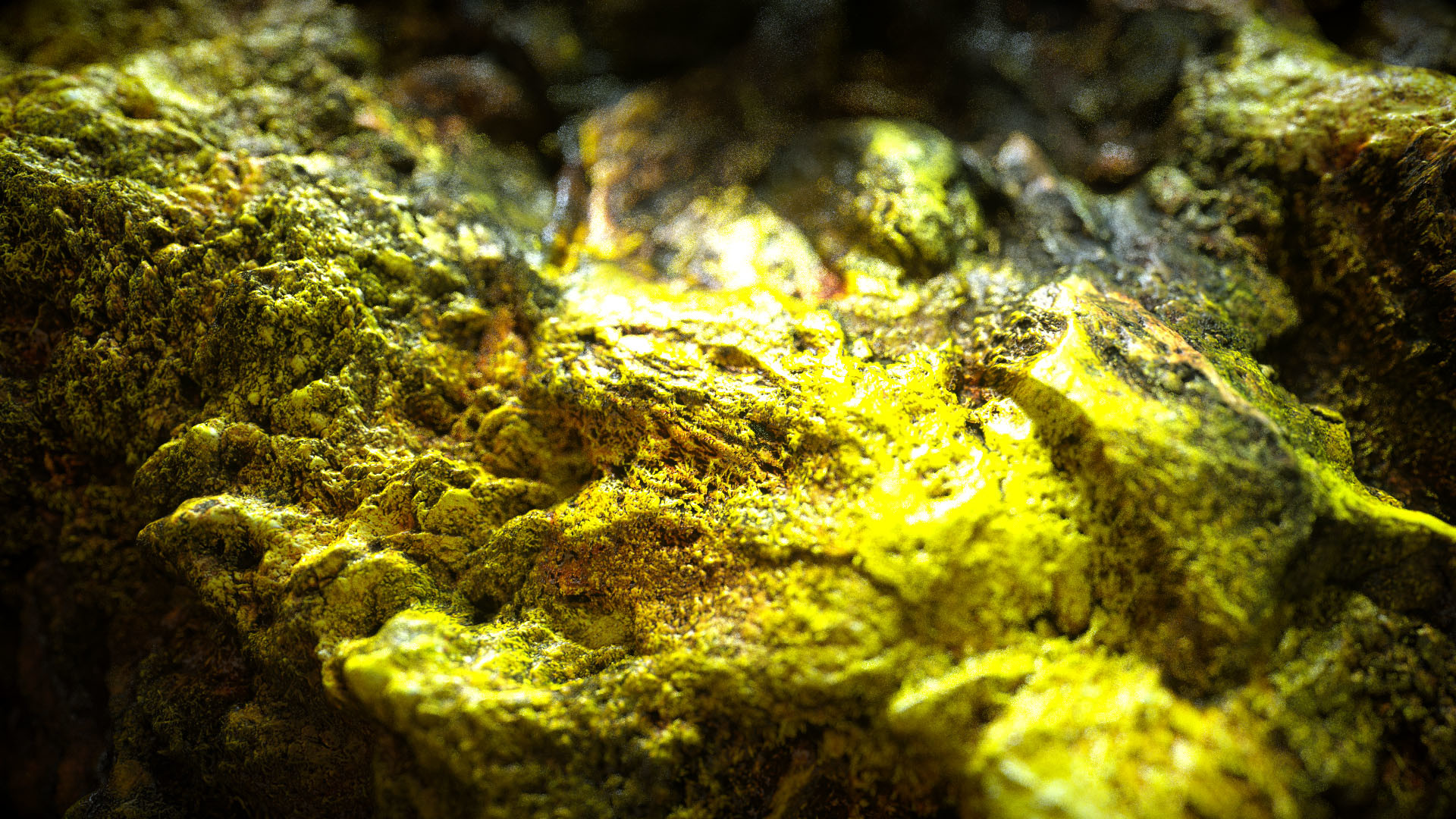 ArtStation - RDT - Metamorphic ART