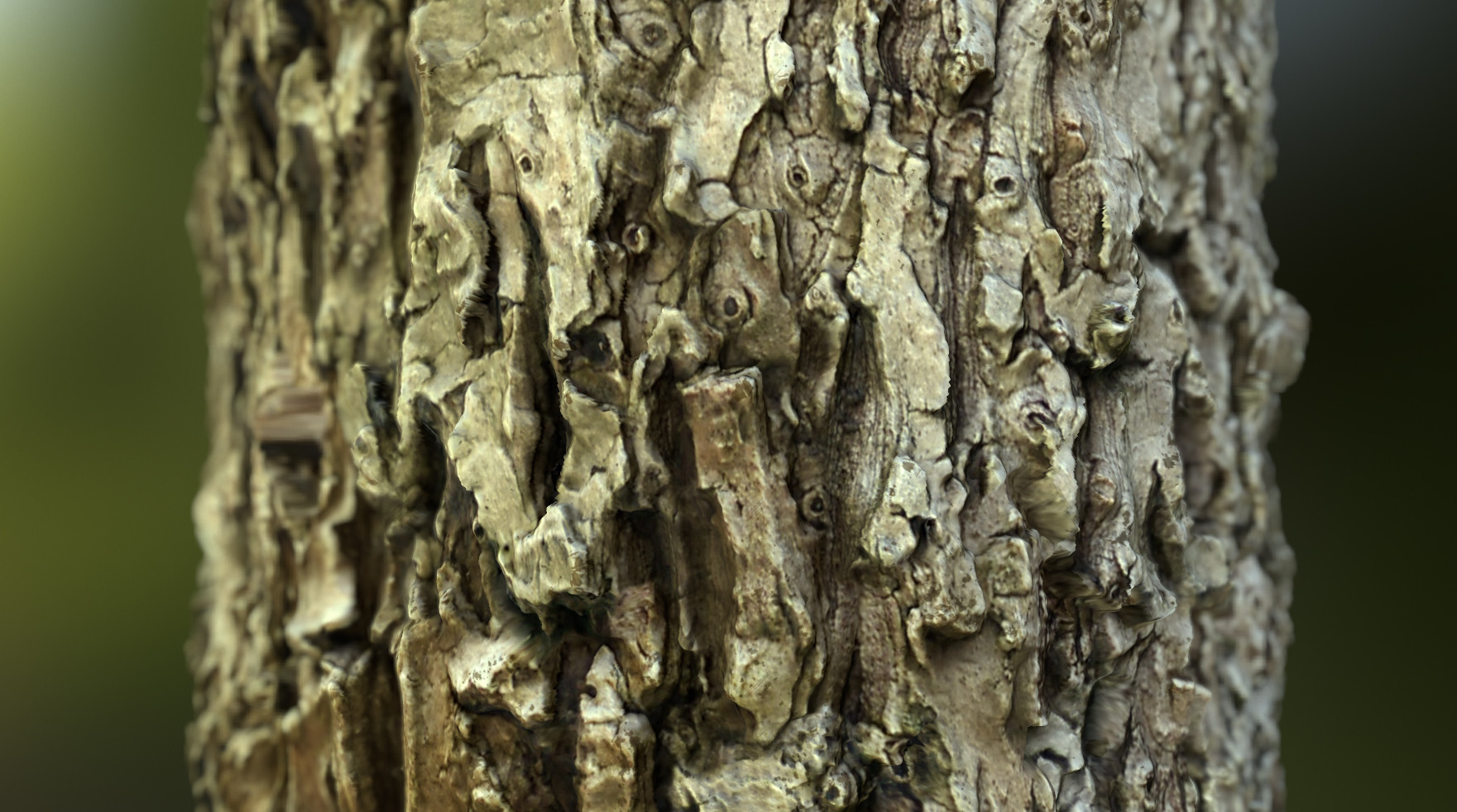 ArtStation - Tree bark tiling texture (Photogrammetry)