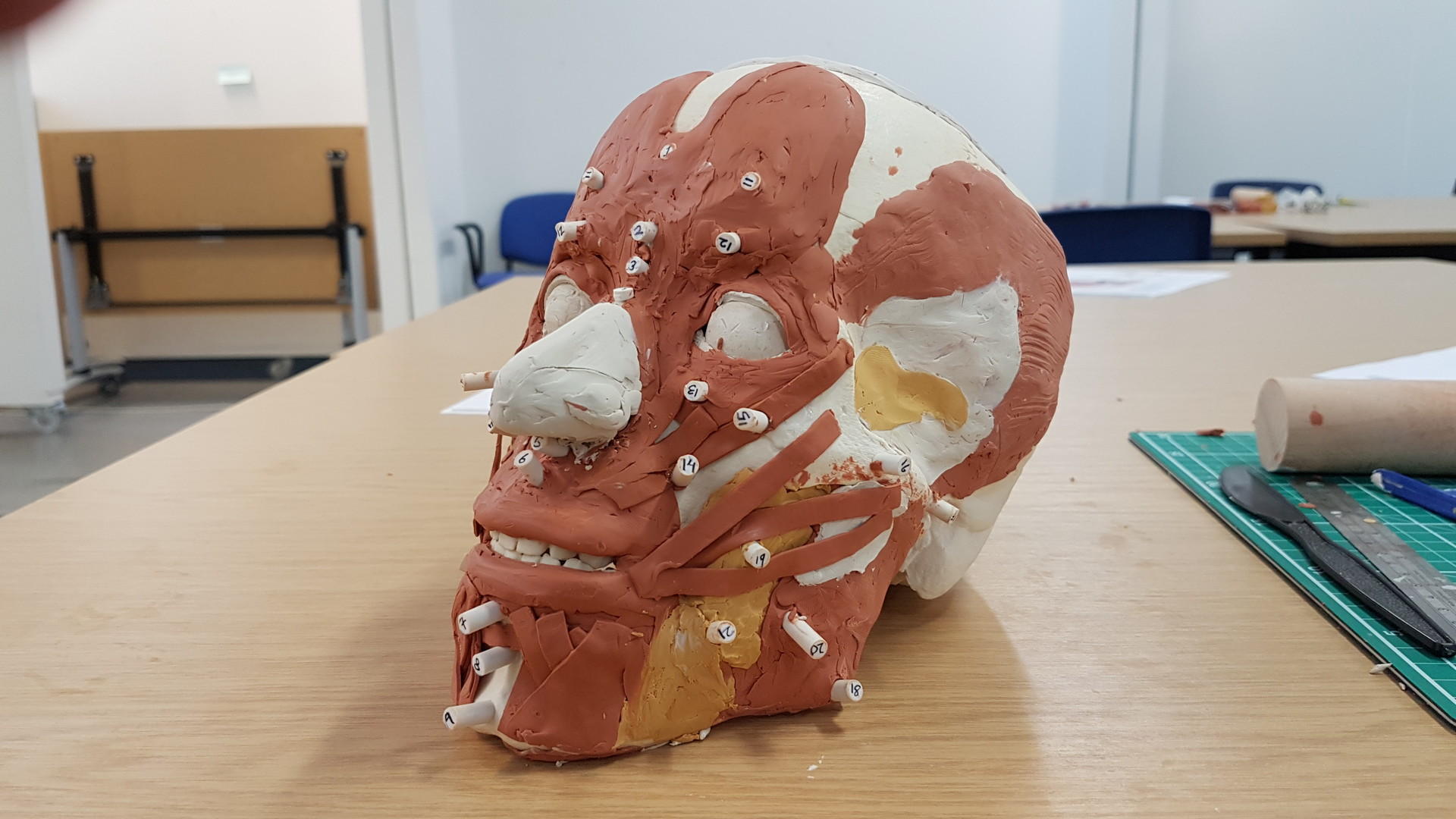 ArtStation - FACIAL ANATOMY WORKSHOP