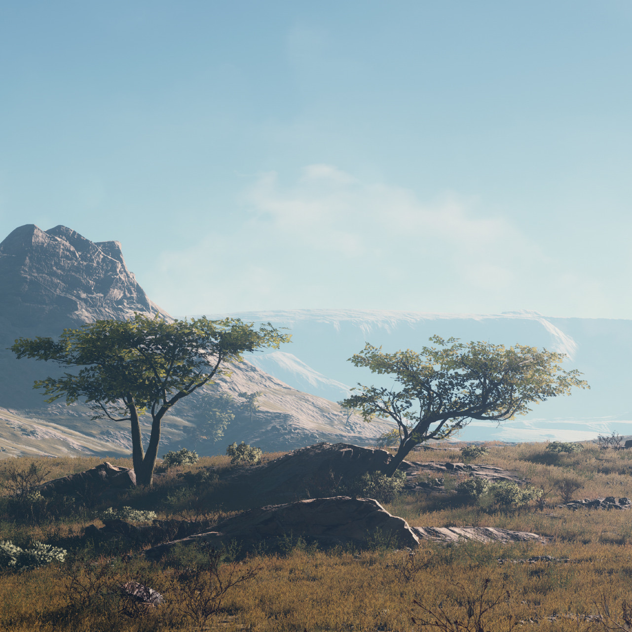 Alexander Dracott - SideFX Houdini Heightfield Terrain Demonstration